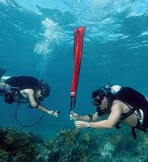 PADI Surface Marker Buoy (SMB) Diver Instructor